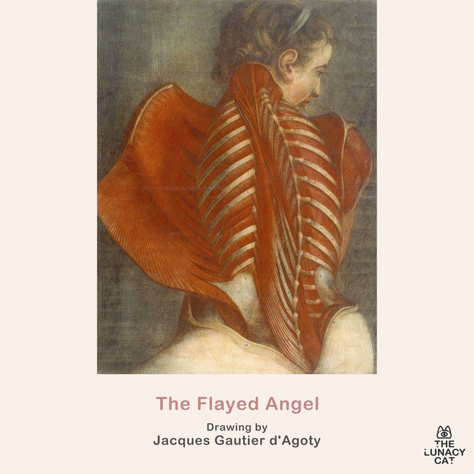 The Flayed Angel Enamel Pin Art and Anatomy Gift | Etsy