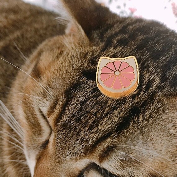Pomelo Cat
