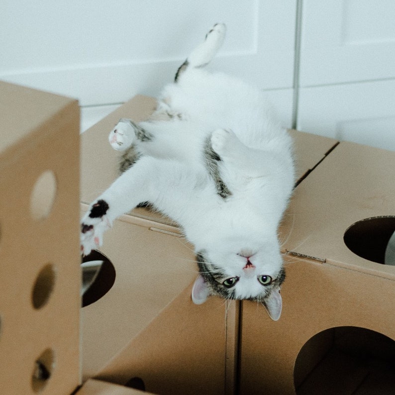 Cardboard 10 Modular Cat House Box Playhouse Furniture Cave Etsy