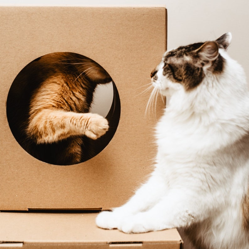 Cardboard 10 Modular Cat House Box Playhouse Furniture Cave Etsy