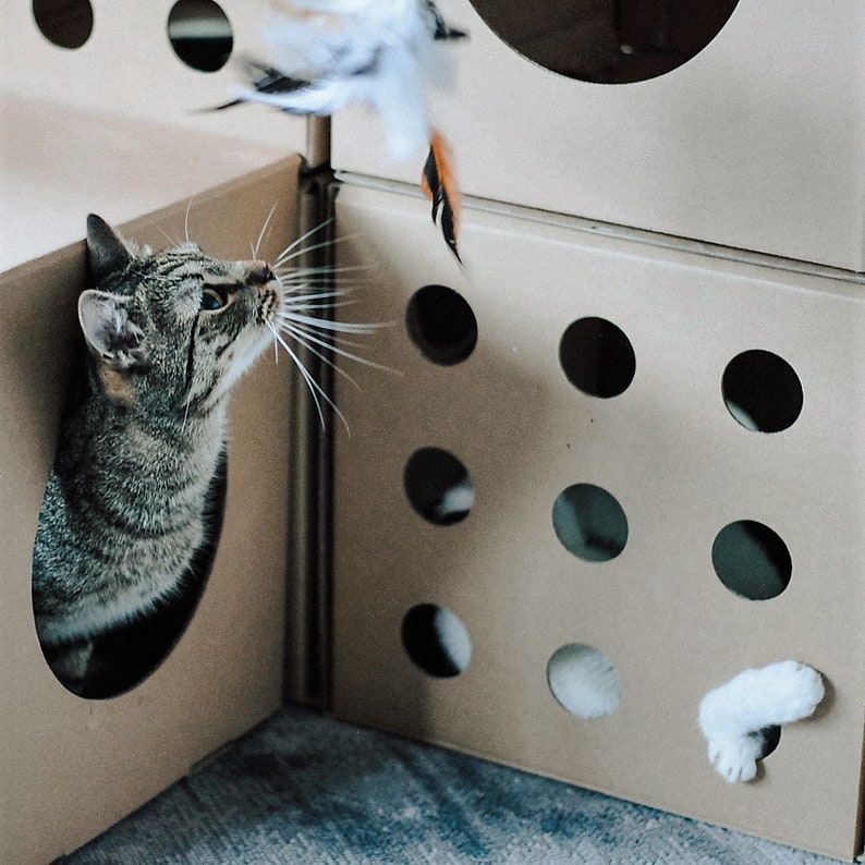 Cardboard 10 Modular Cat House Box Playhouse Furniture Cave Etsy