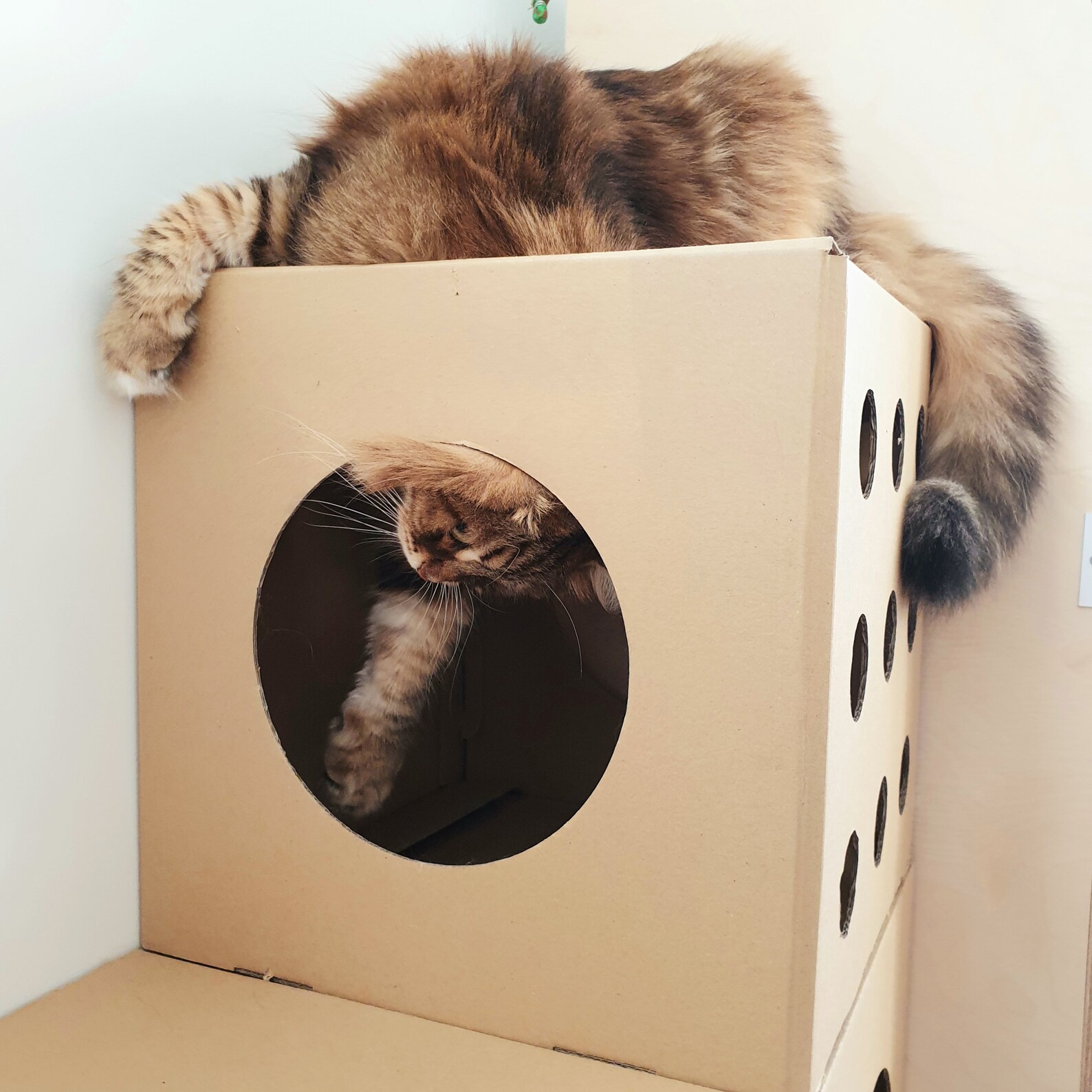 Cardboard 3 Modular Cat House Box Playhouse Furniture Cave Etsy