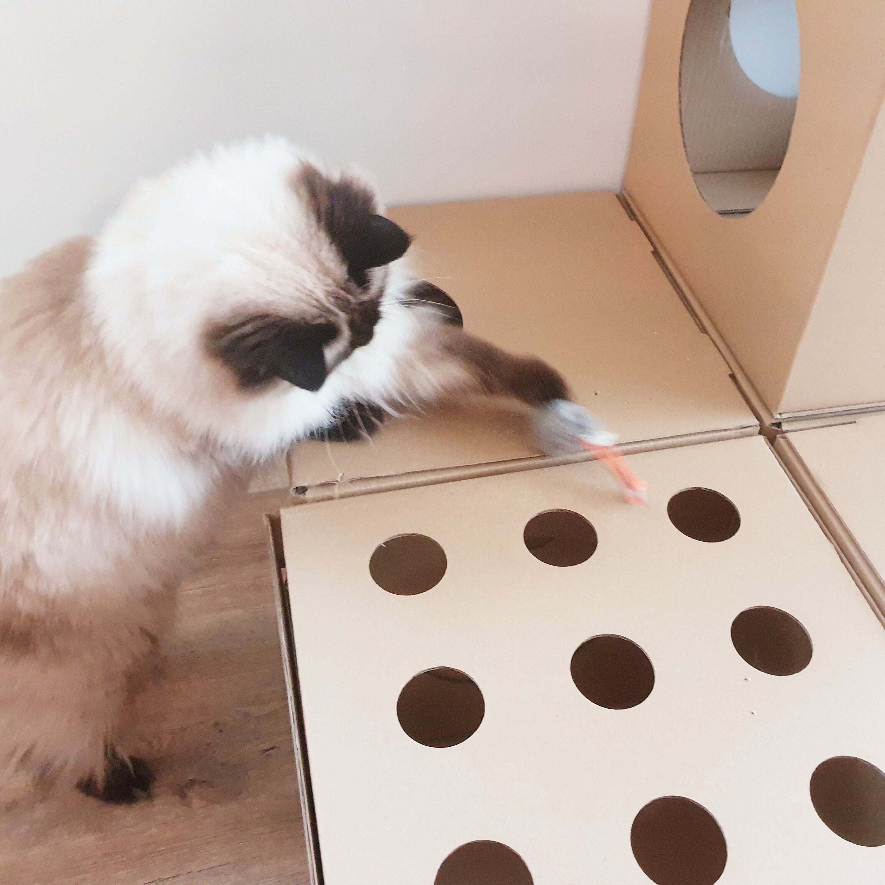 Cardboard 9 Modular Cat House Box Playhouse Furniture Cave Etsy