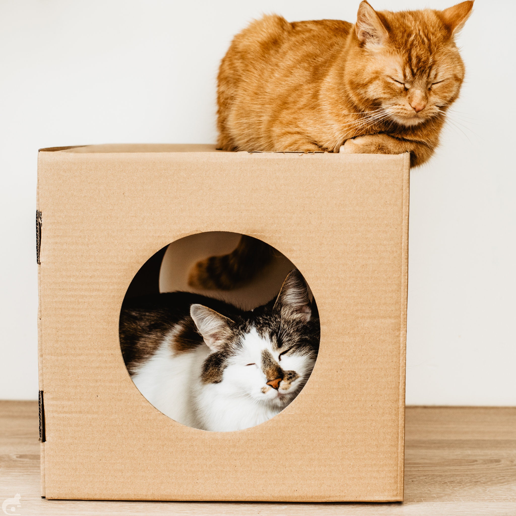 Cardboard Modular Cat House 1 Pcs Module B Box Playhouse Etsy