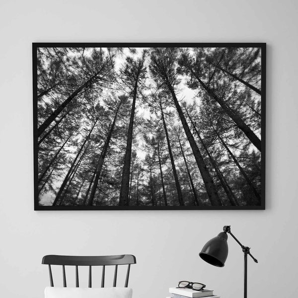 Black and White Tree - Etsy