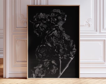 Gothic Botanical Art Prints, Dark Cottagecore Decor, Pressed Flowers ...