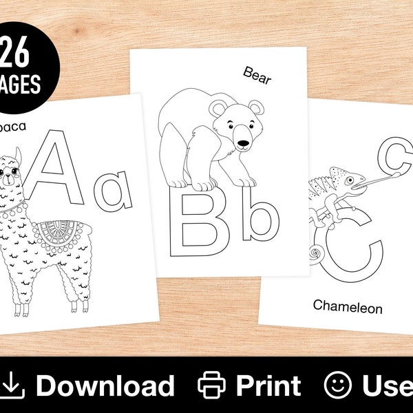 Montessori Alphabet - Etsy