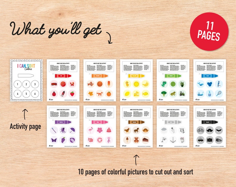 10 Color Sorting Activity Printable Toddler Busy Binder - Etsy UK