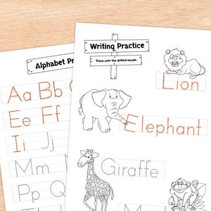 Zoo Animals Printable Preschool Learning Packet (25 Pages), Toddler ...