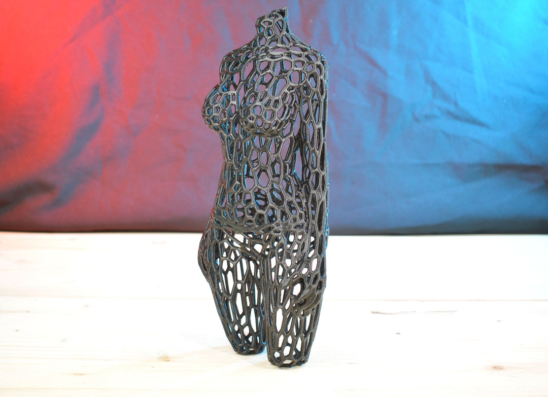 Anatomy Art Female Shape Female Torso Sculpture Body Decoration Art ...
