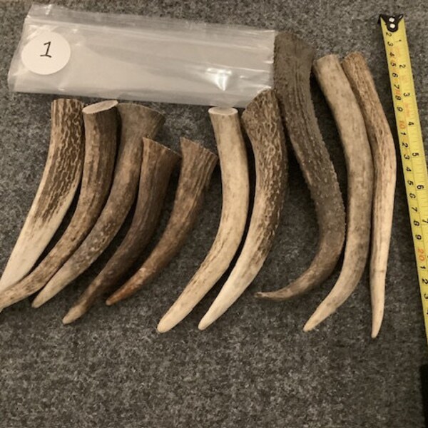 Deer Antler Tips - Etsy