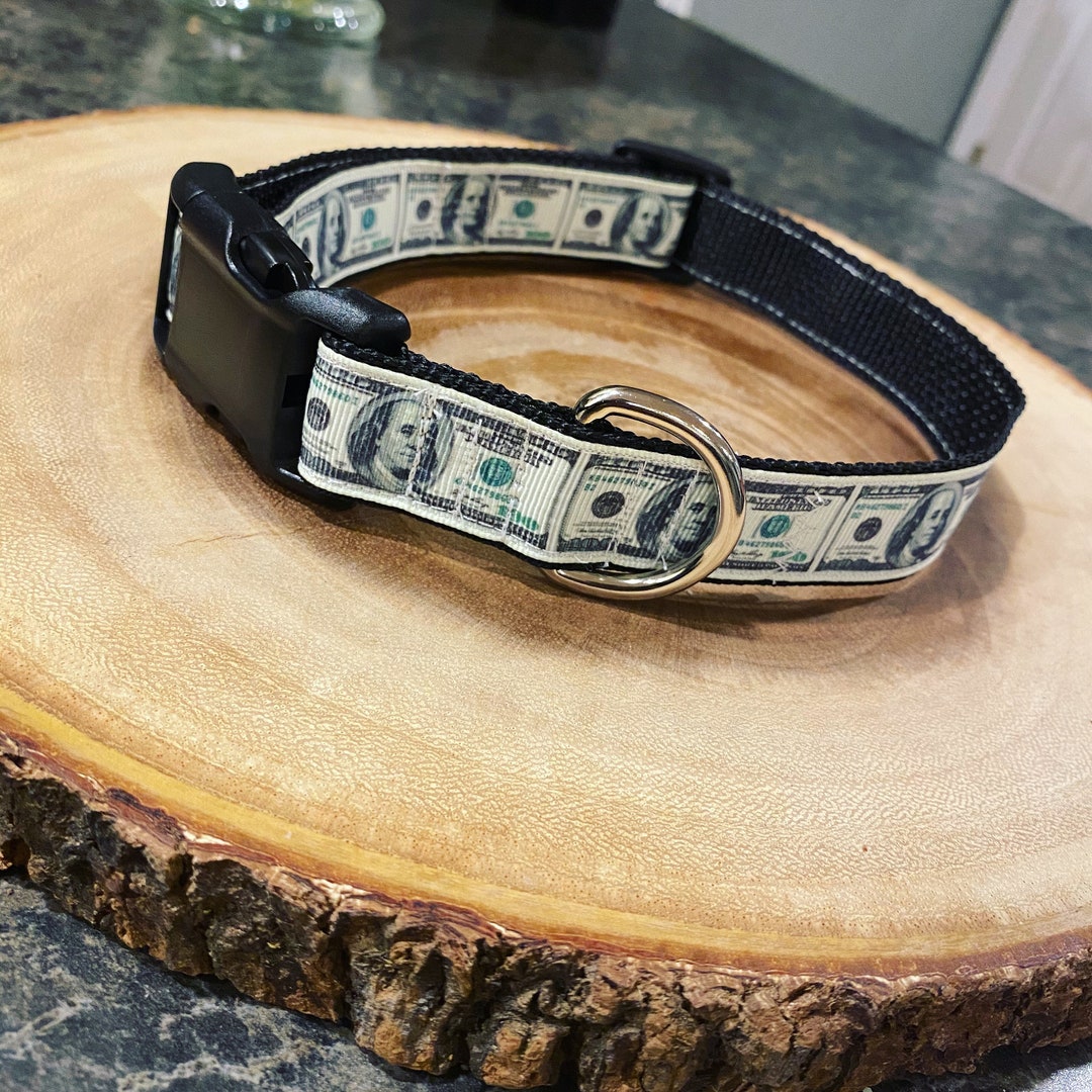 1” One Hundred Dollar Bill Dog Collar - Etsy