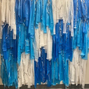Winter Wonderland Blue Fringe Backdrop - Etsy