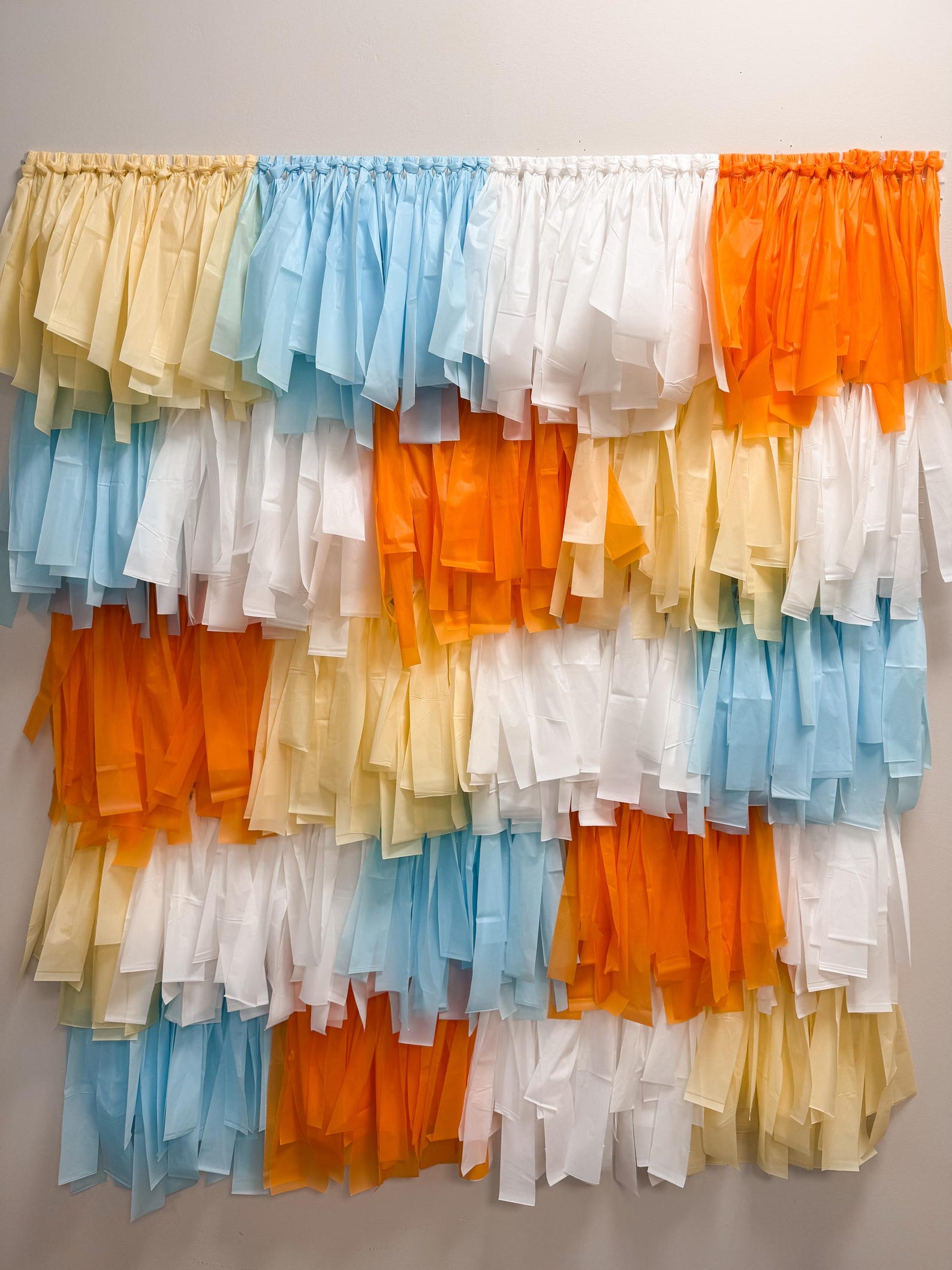 Fringe Backdrop - Custom Colors Available - Etsy