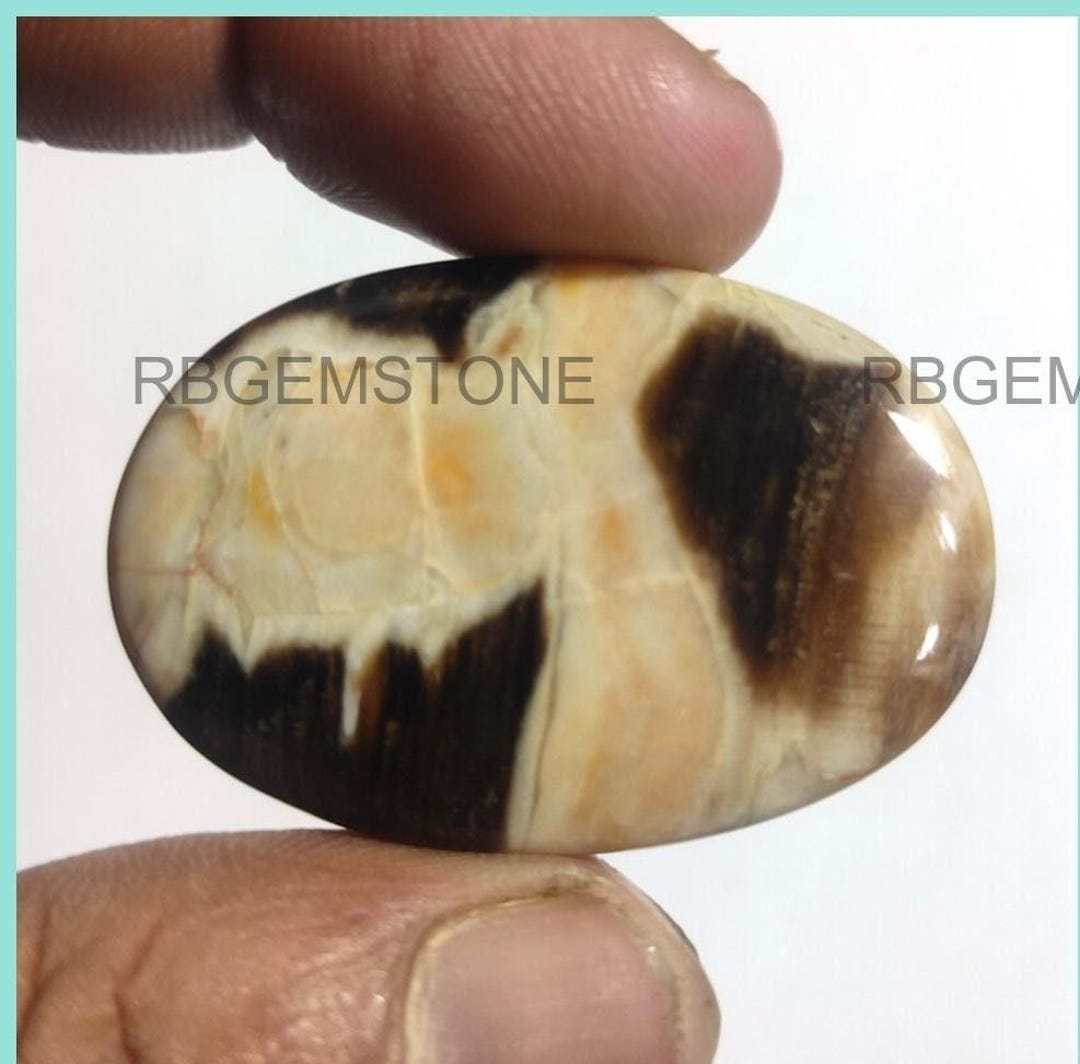 Peanut Wood Jasper Healing Gemstone / Multi Color / Jasper Cabs ...
