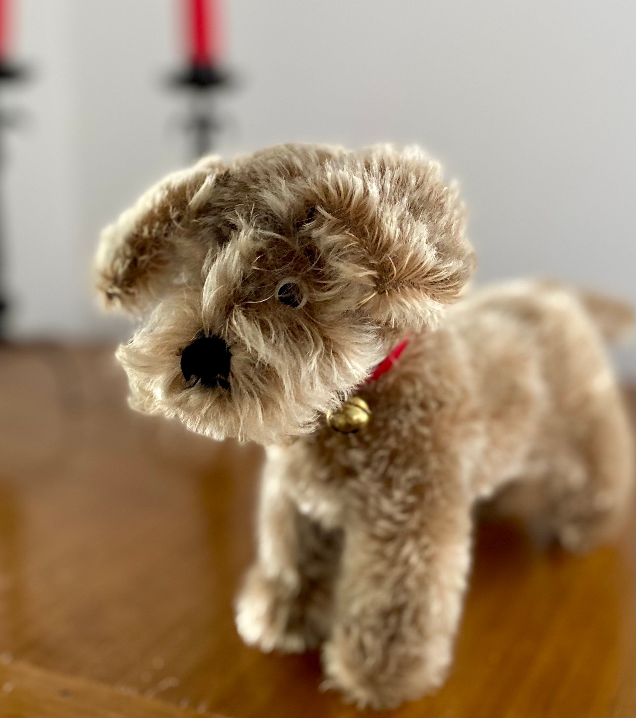 Vintage Steiff mohair Raudi Dachshund perro data de 1950-1960, 17 cm ...