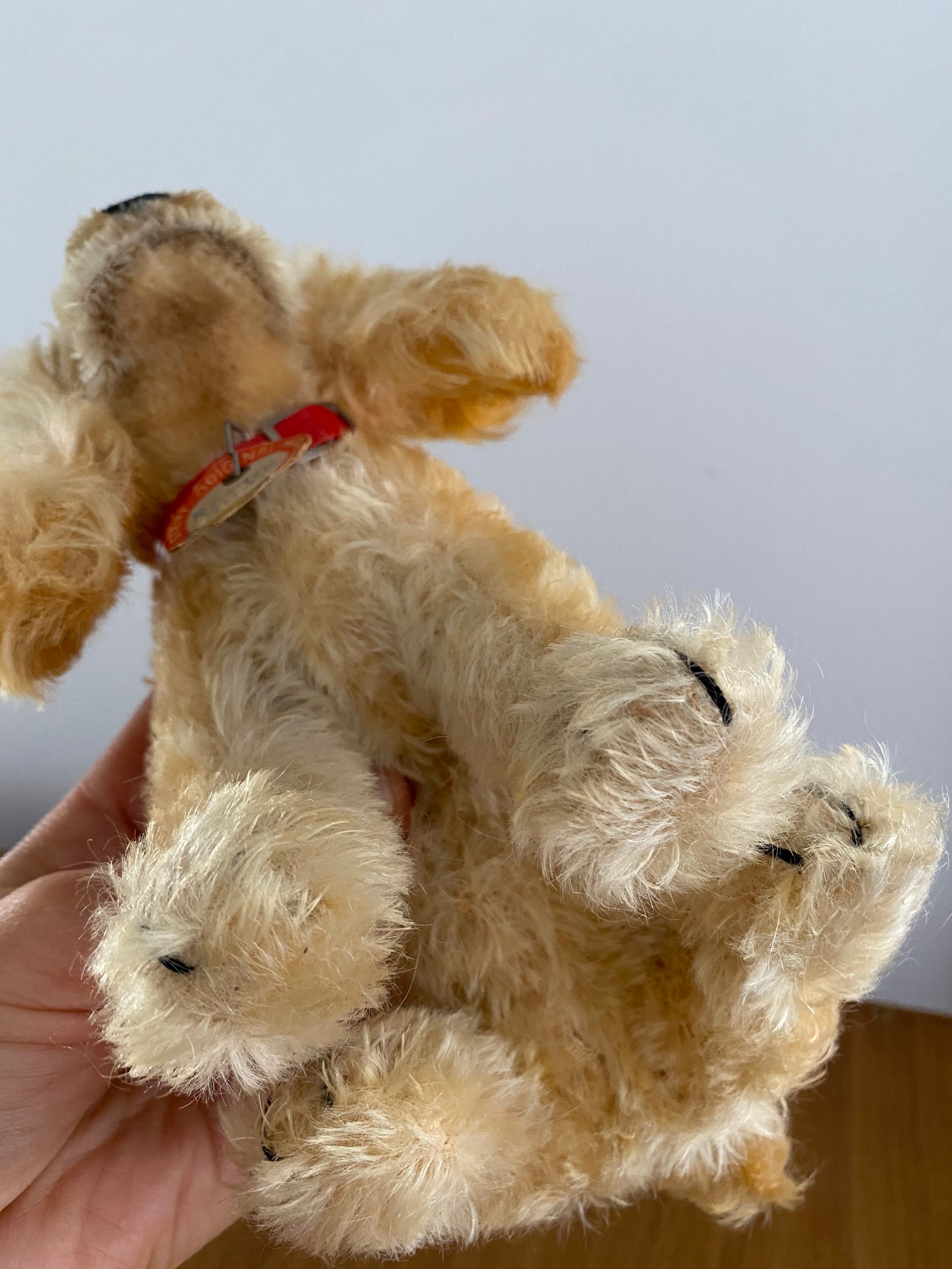 Vintage Steiff Susi Cocker Spaniel With Working Squeaker/button and ...