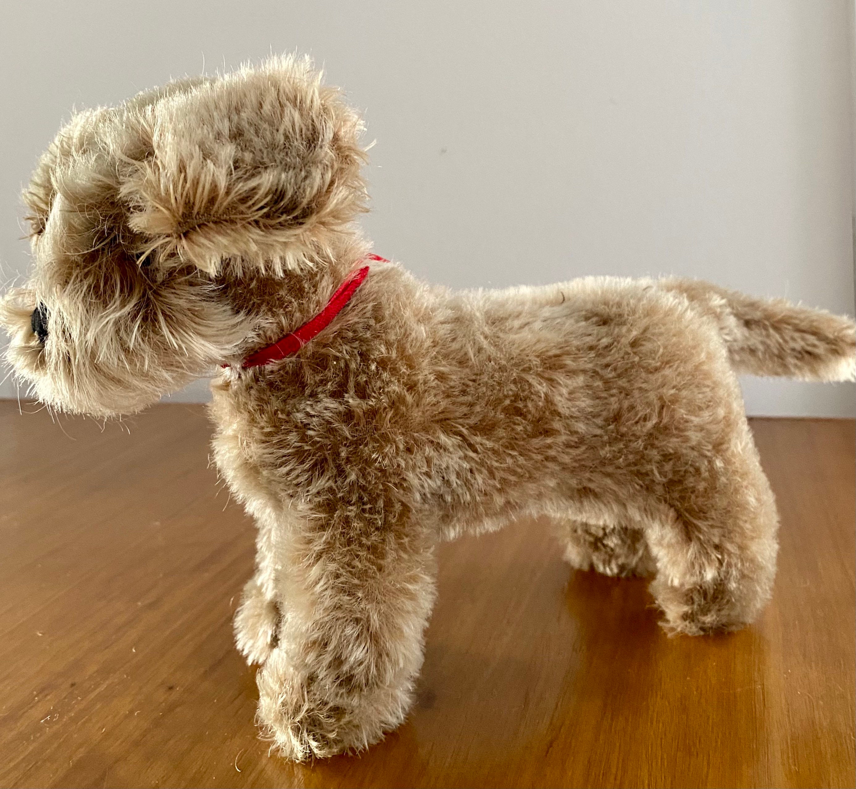 Vintage Steiff mohair Raudi Dachshund perro data de 1950-1960, 17 cm ...