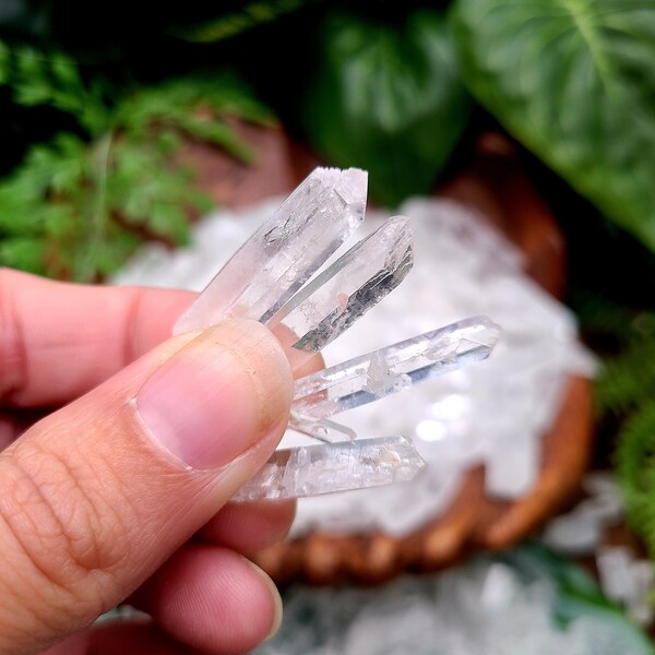 Quartz Crystal Shard - Etsy