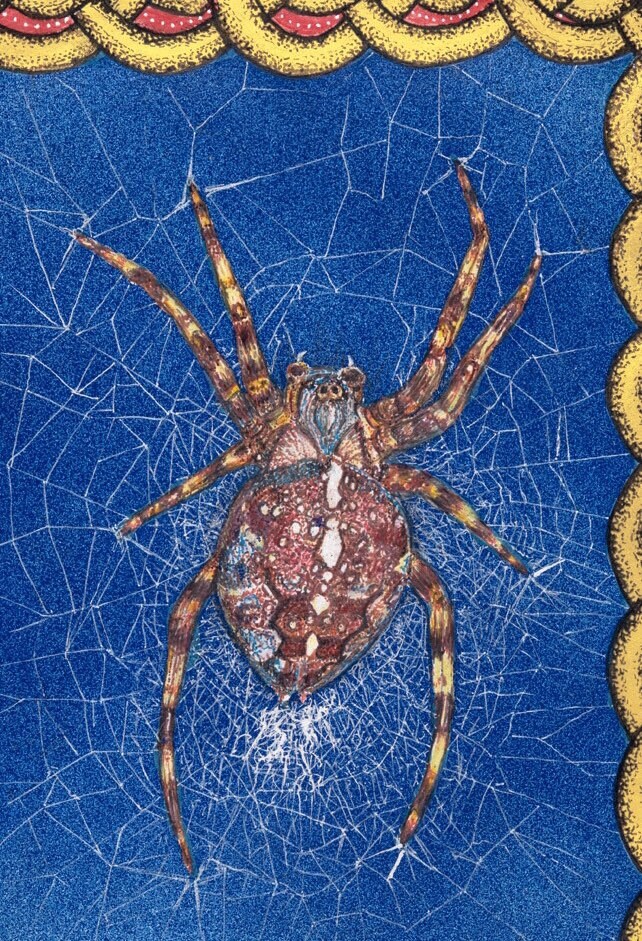 A Celtic spider | Etsy