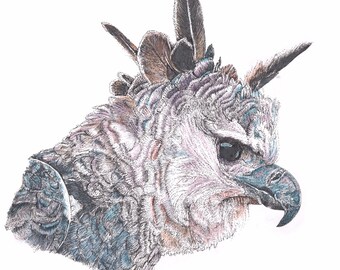Harpy Eagle - Etsy