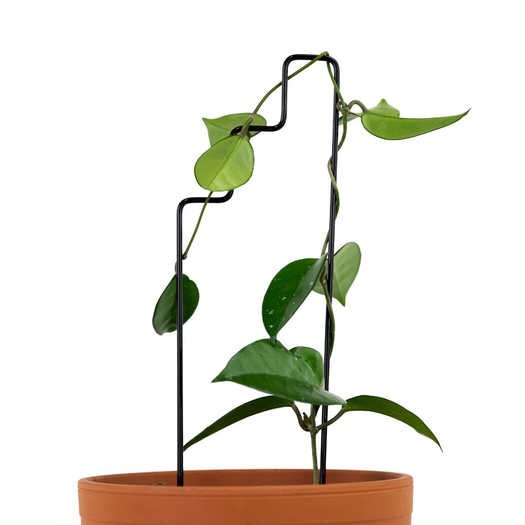 Plant Stairs Metal Trellis - Indoor Garden Trellis - Trailing Support ...