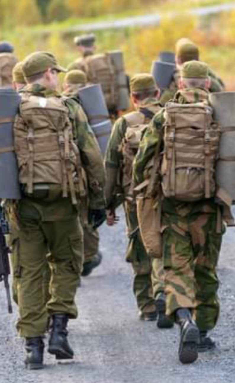 Norwegian Army Military Surplus Daysack 30L Bergans Assault Pack ...