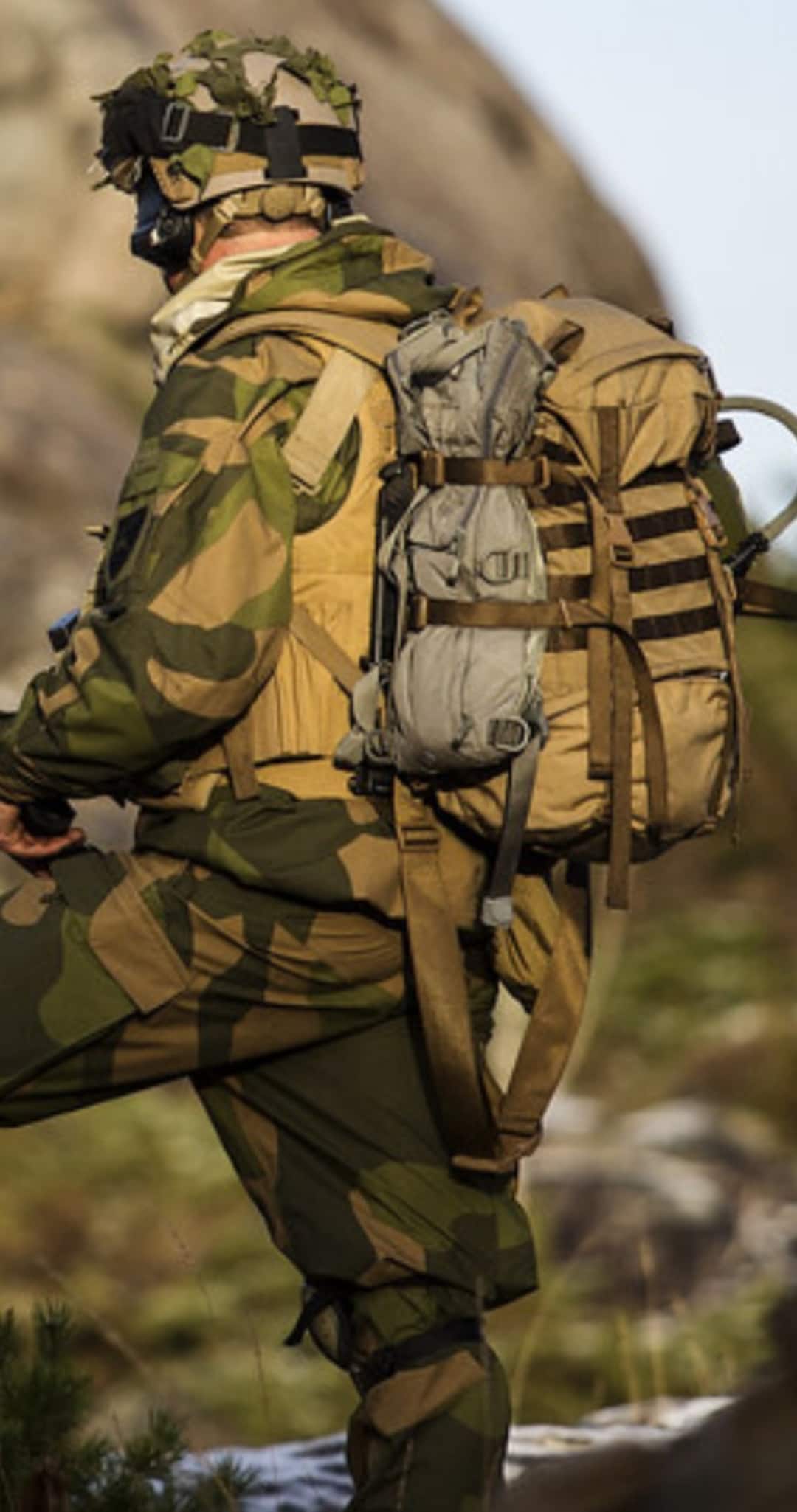 Norwegian Army Military Surplus Daysack 30L Bergans Assault Pack ...