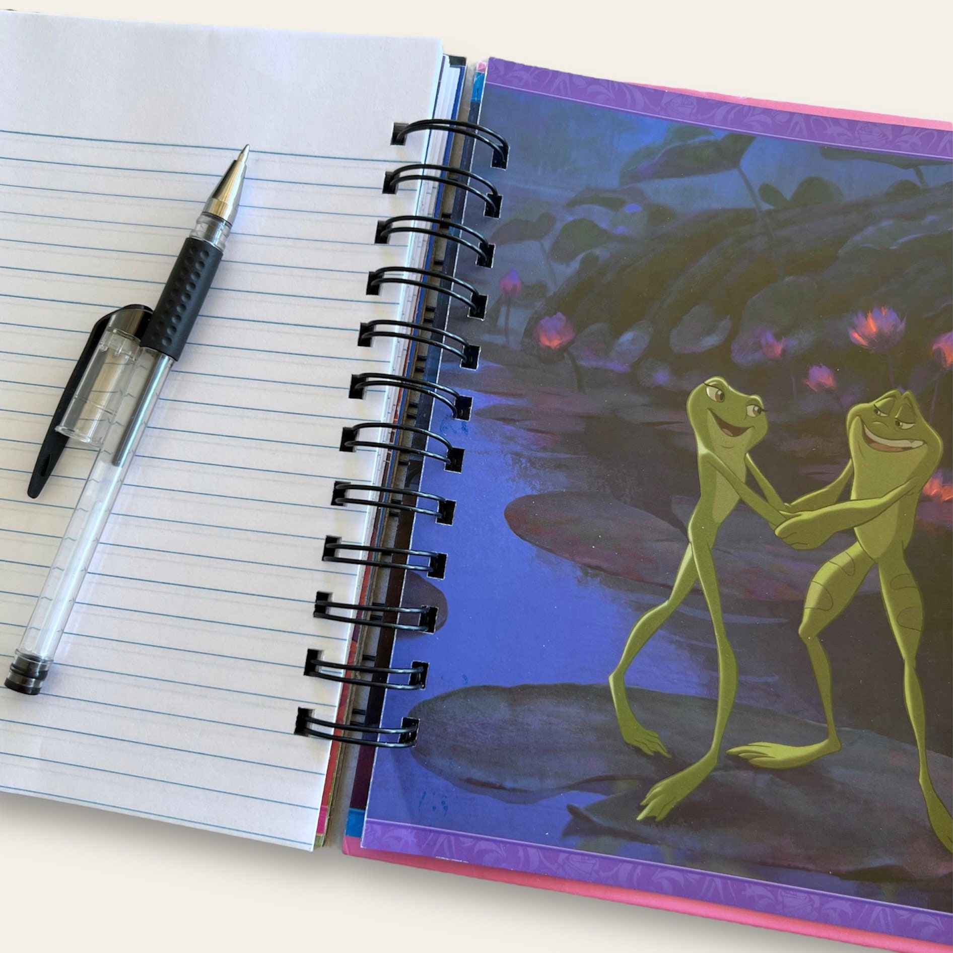 Princess and the Frog Upcycled Notebook Journal - Etsy