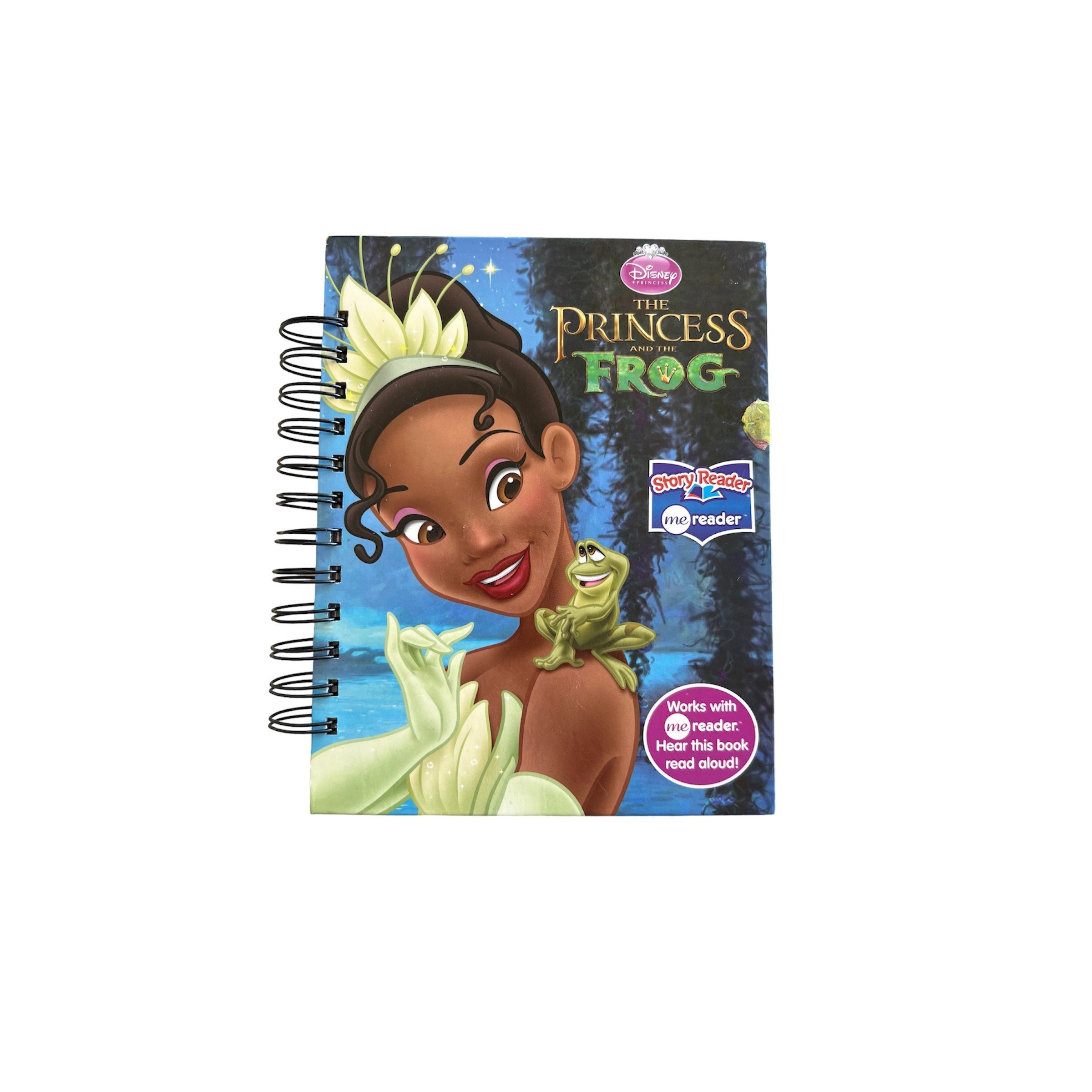 Princess and the Frog Upcycled Notebook Journal - Etsy
