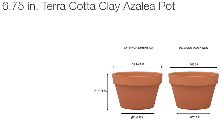 Hand Painted Terra Cotta Pot Famous Artwork Collection NSV Van Gogh's ...
