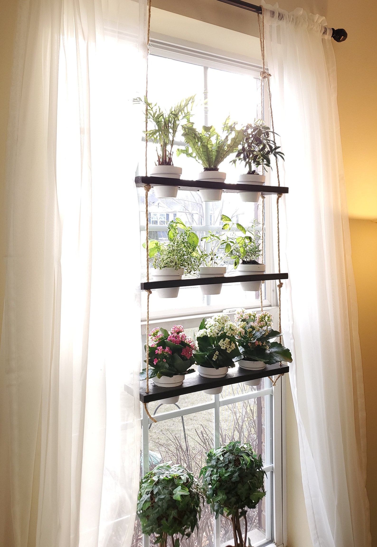 Hanging Window Plant Shelf - Etsy
