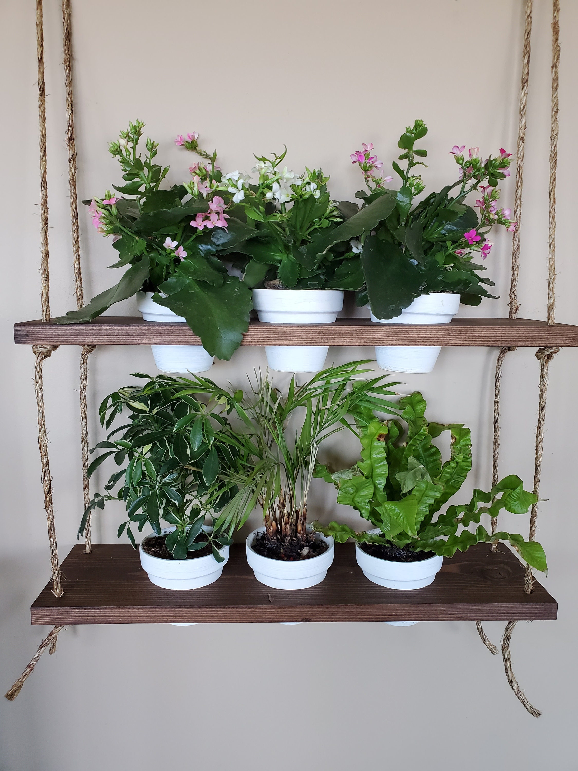 Double Floating Planter Shelves Hanging Indoor Garden - Etsy