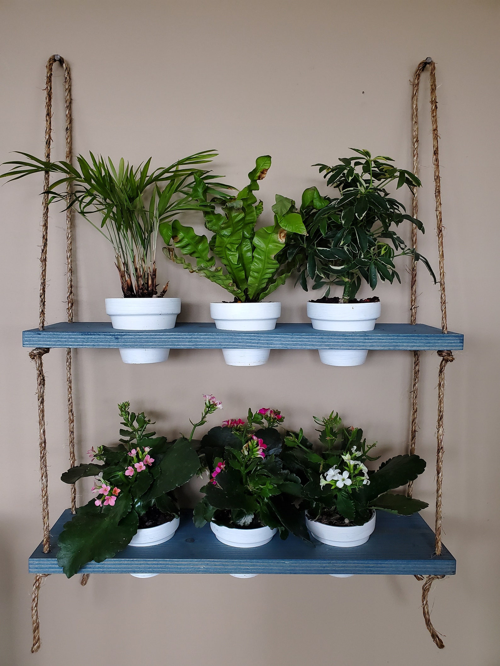 Double Floating Planter Shelves Hanging Indoor Garden | Etsy
