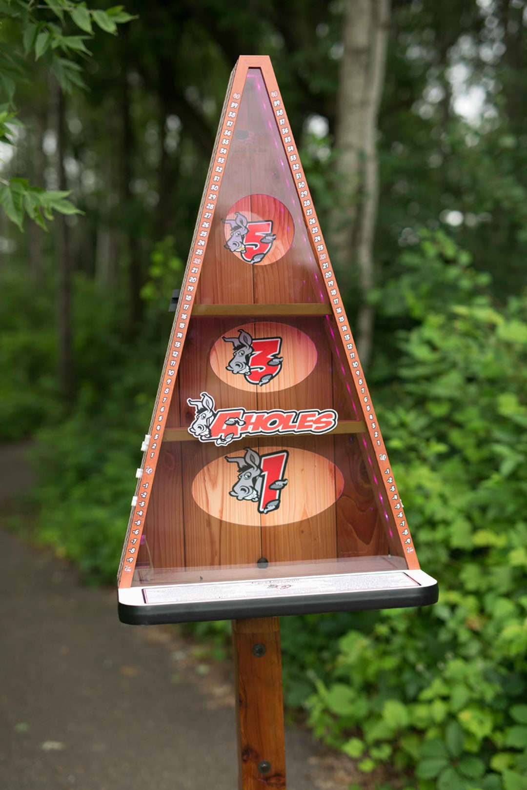 A-holes Bean Bag Game - Etsy