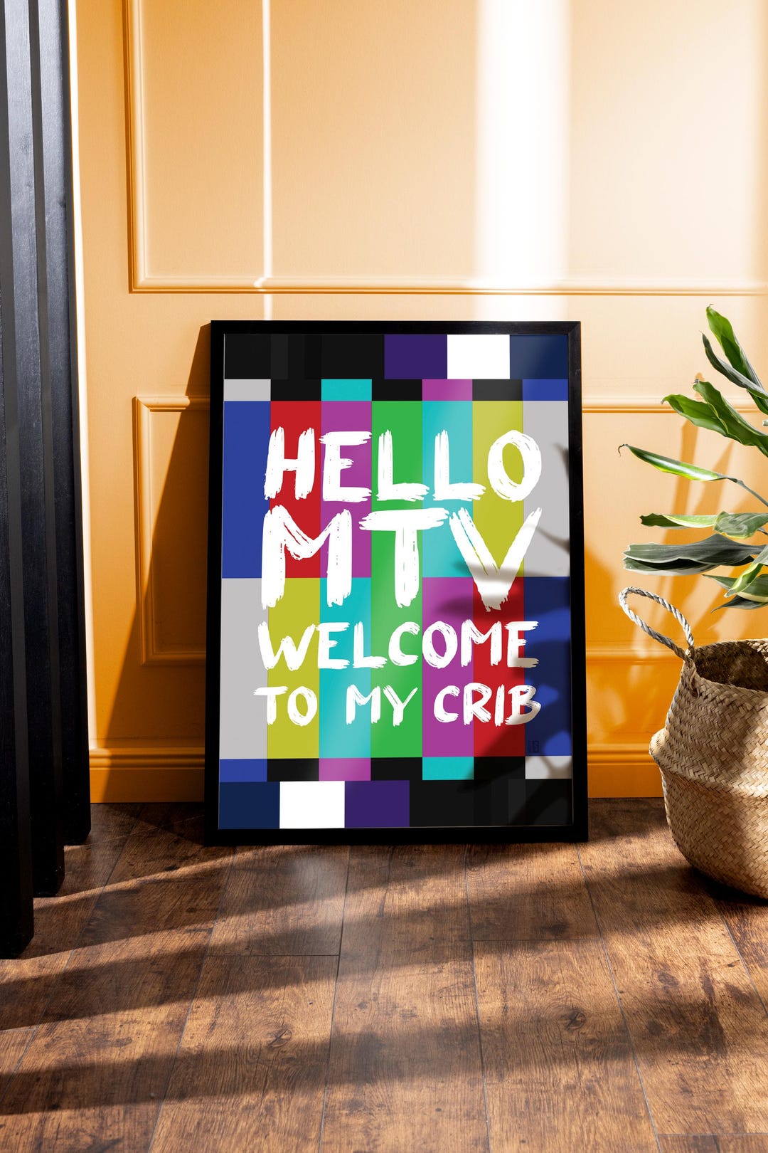 Hello MTV Welcome to My Crib | TV Show American Channel | Colourful ...