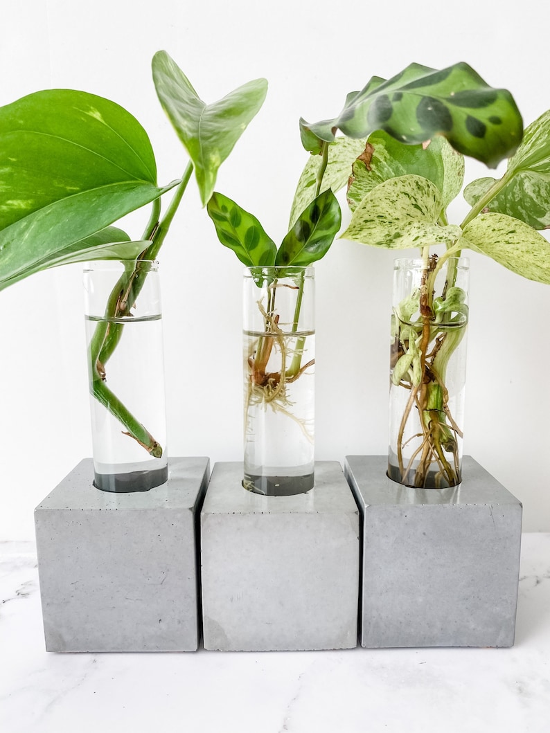 Concrete Propagation Cube Plant Propagation Propagation | Etsy