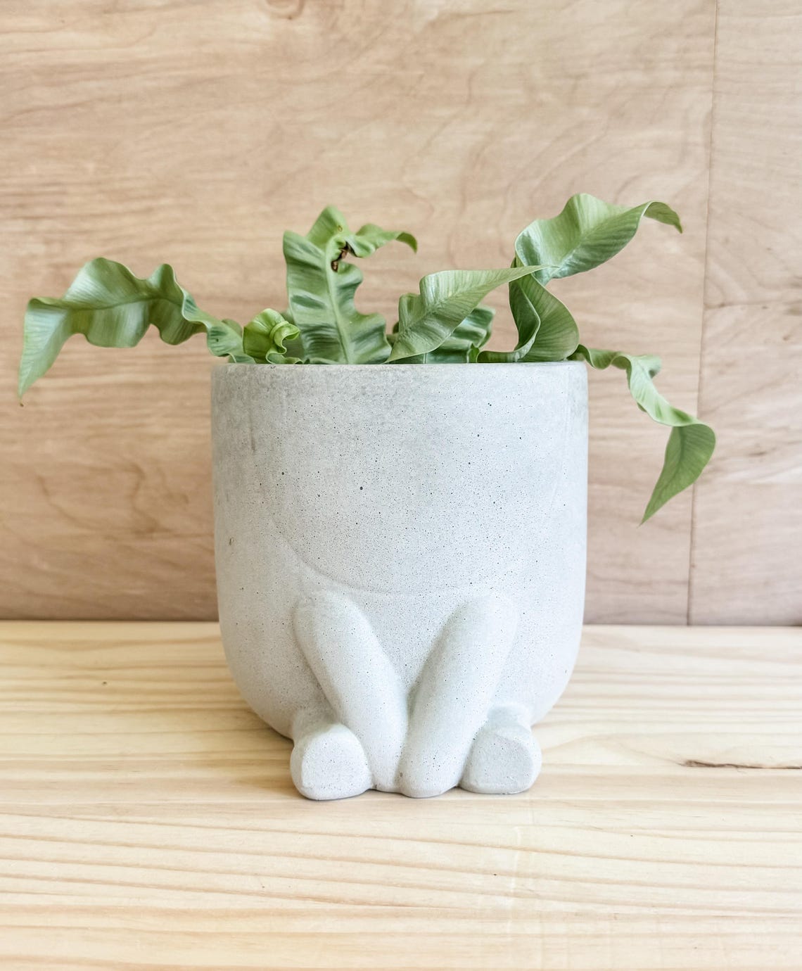 Concrete Shelf Friend Planter – Unique Sitting Figure Planter for ...
