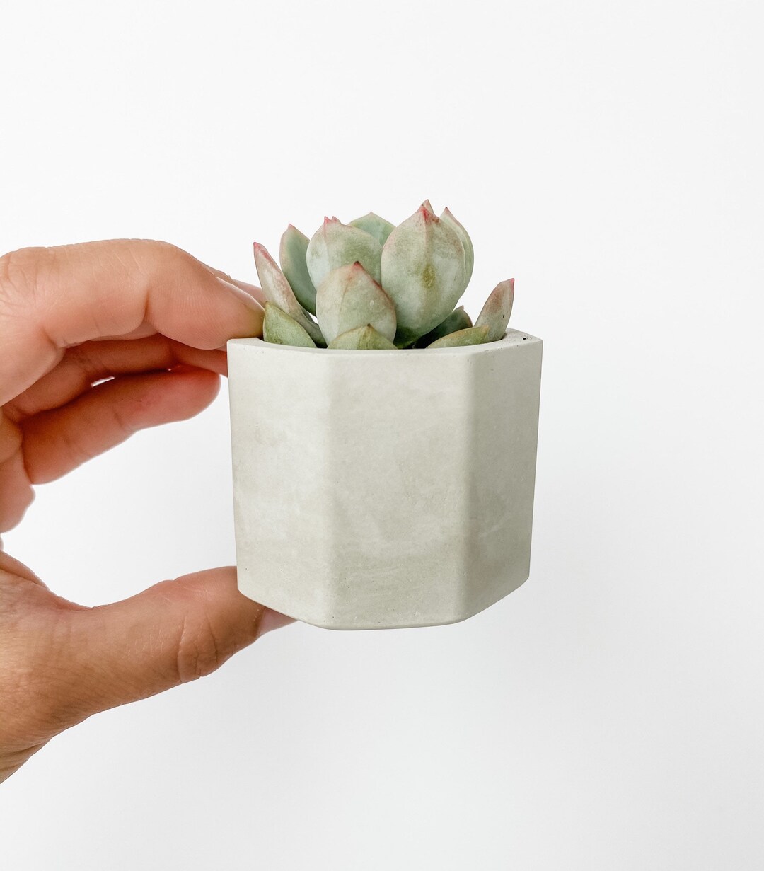 Small Concrete Planter | Concrete Planter | Concrete Plant Pot ...