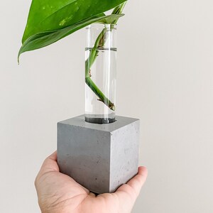 Concrete Propagation Cube | Plant Propagation | Propagation Station ...
