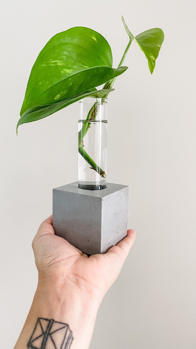 Concrete Propagation Cube Plant Propagation Propagation | Etsy