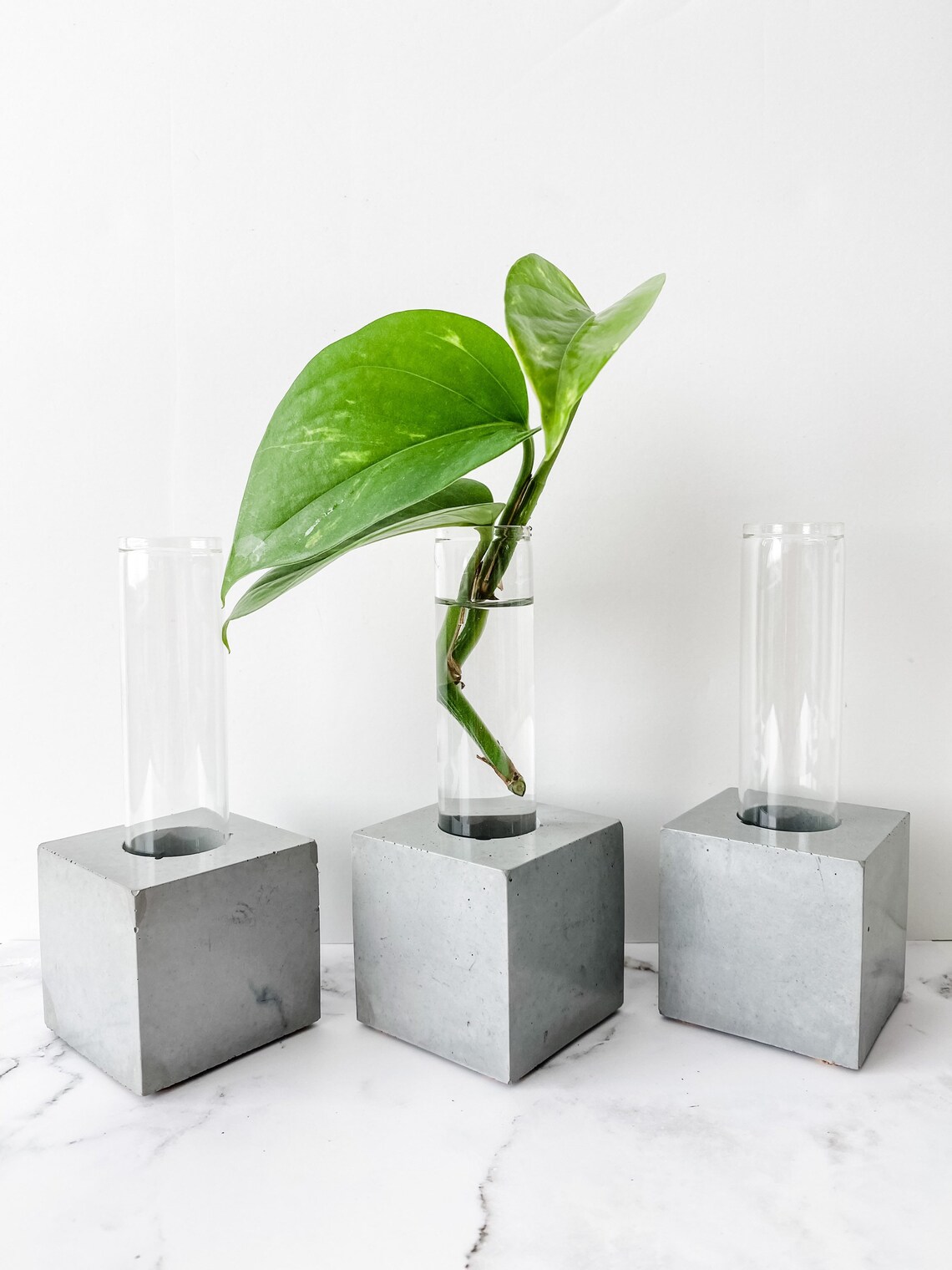 Concrete Propagation Cube Plant Propagation Propagation | Etsy