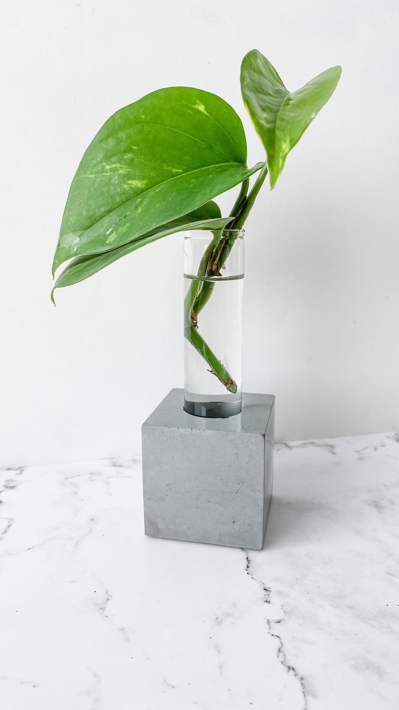 Concrete Propagation Cube Plant Propagation Propagation - Etsy