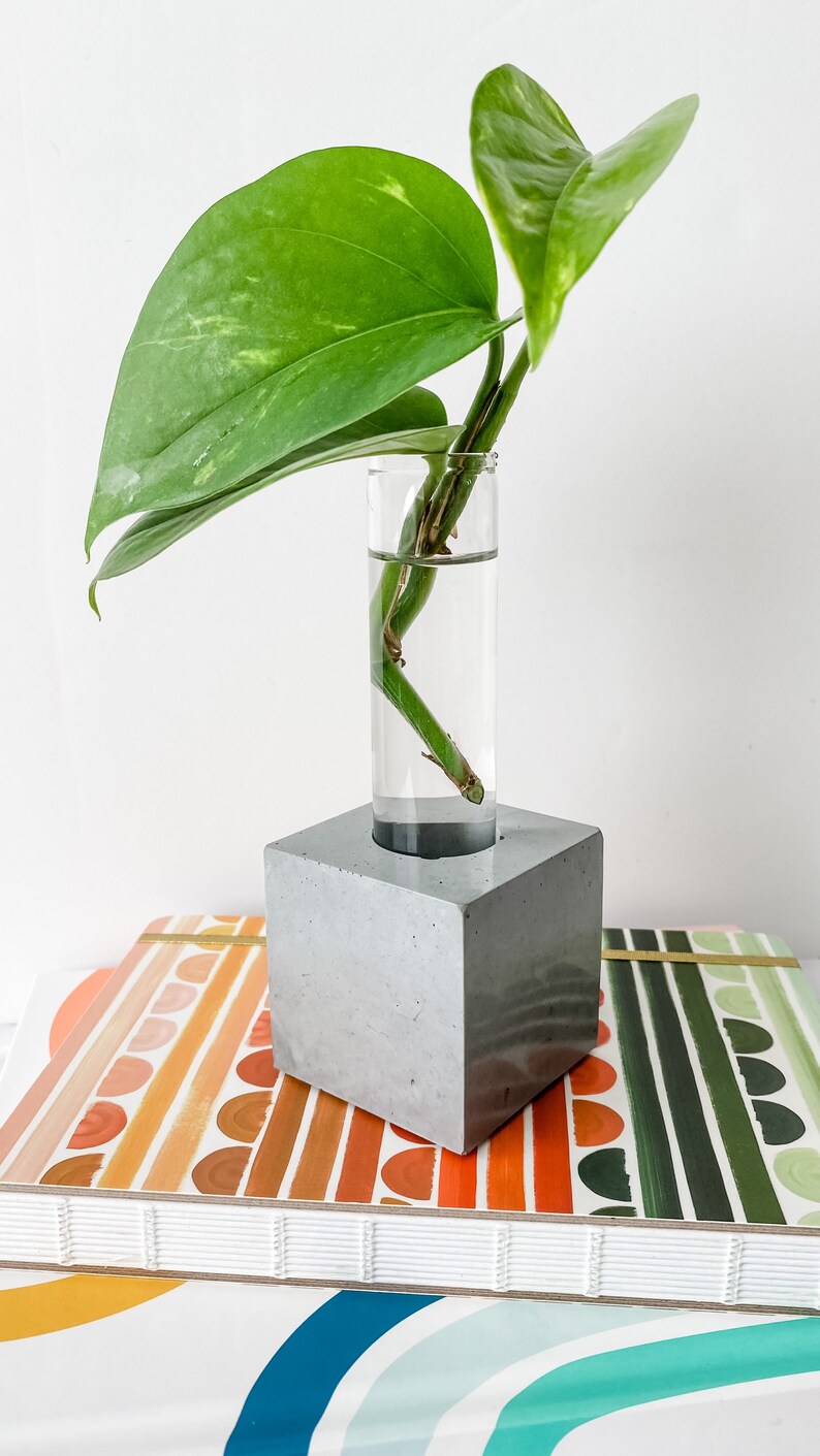 Concrete Propagation Cube Plant Propagation Propagation | Etsy