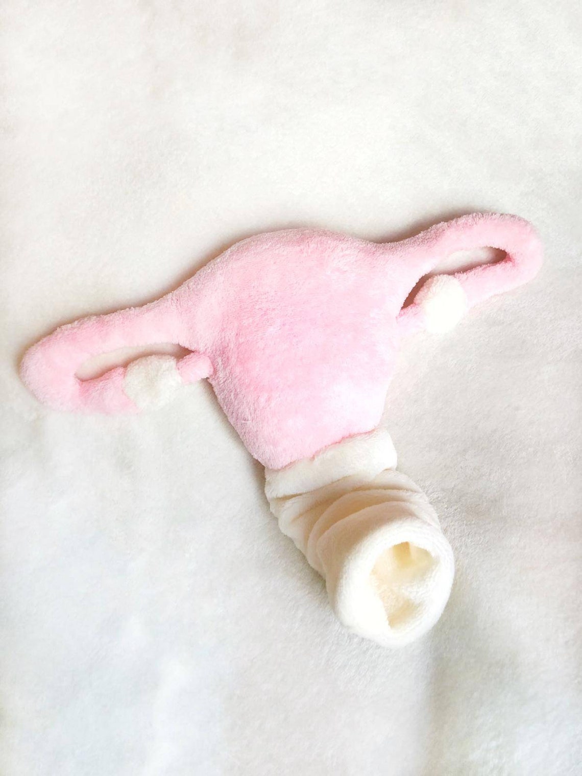 Stuffed Vulva, Clitoris and Uterus and Vagina - Etsy