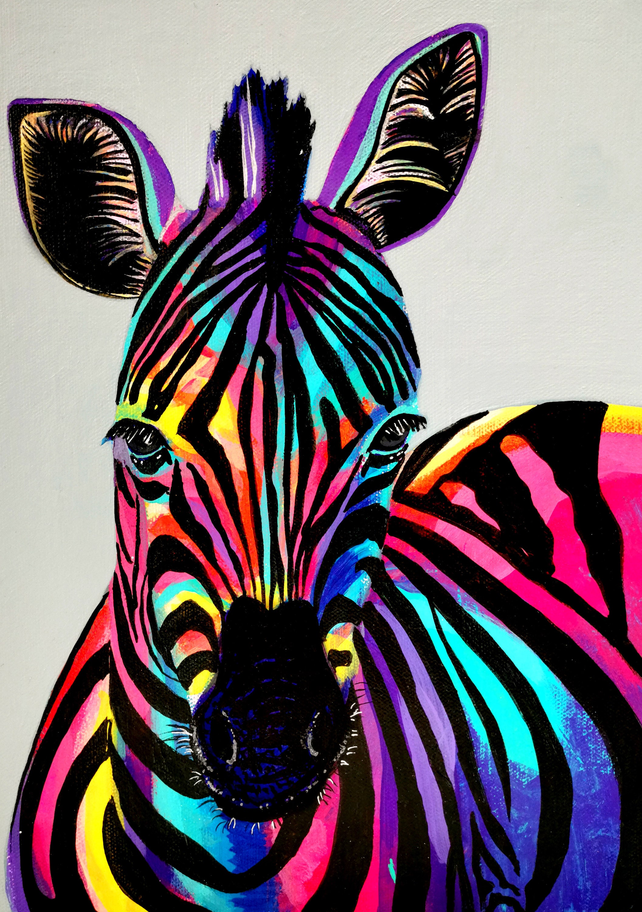 Colorful Zebra Painting