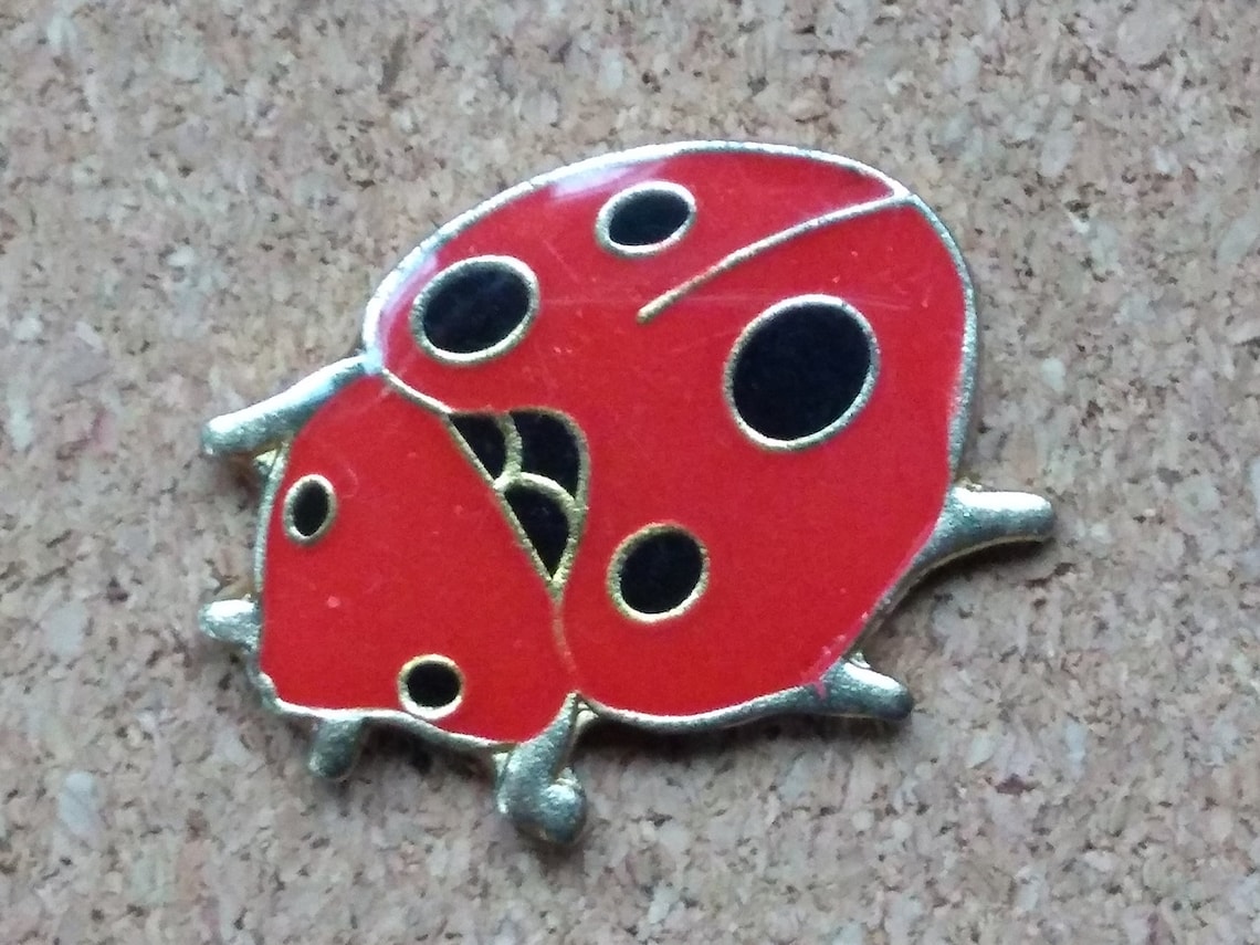Vintage Ladybug Pins: Ladybug and Old Ladybug Couple Enamel | Etsy