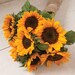 25 Sunflower Sonja Seeds - Etsy