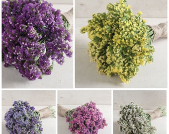 40 Statice Seeker Rose Shades Seeds | Etsy