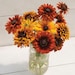 25 Rudbeckia Cherokee Sunset Seeds - Etsy